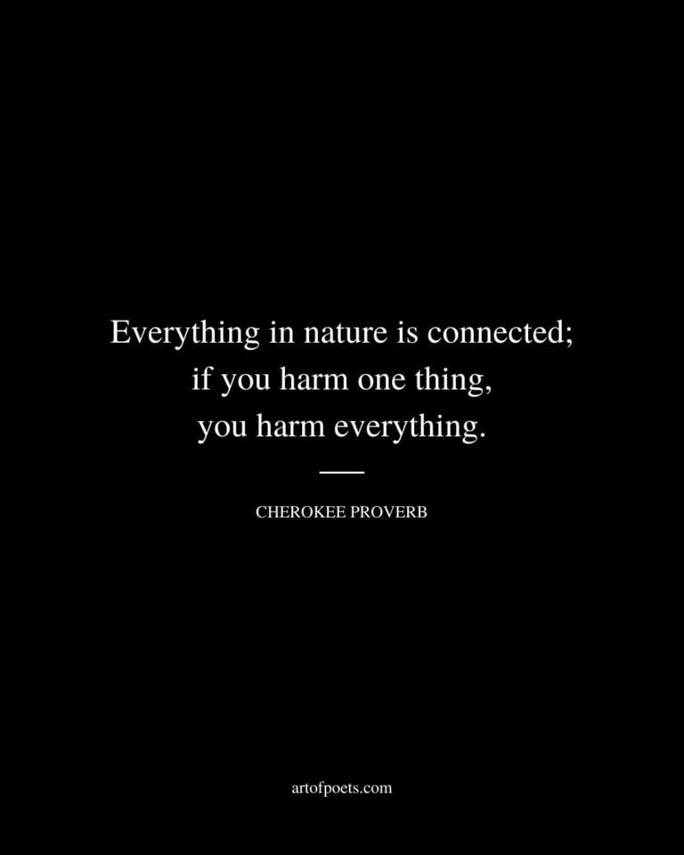 31 Cherokee Proverbs & Sayings on Life, Nature & Cherokee Culture ...
