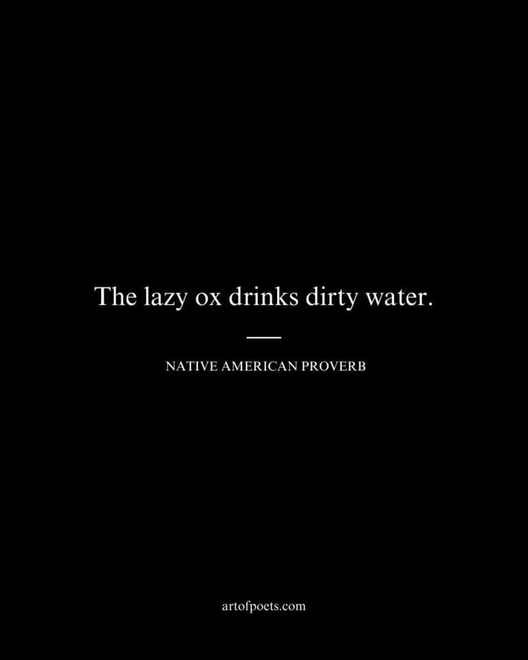 90 Native American Proverbs About Life, Wisdom & Nature