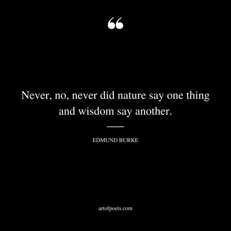 91 Wisdom Quotes on Life, Knowledge, Success & Silence (Words of Wisdom)