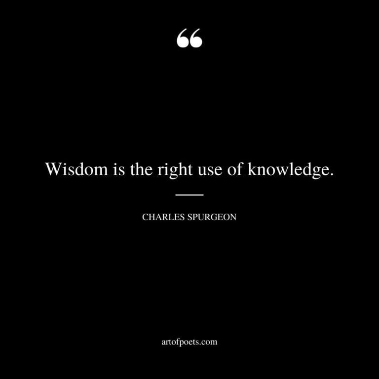 91 Wisdom Quotes on Life, Knowledge, Success & Silence (Words of Wisdom)