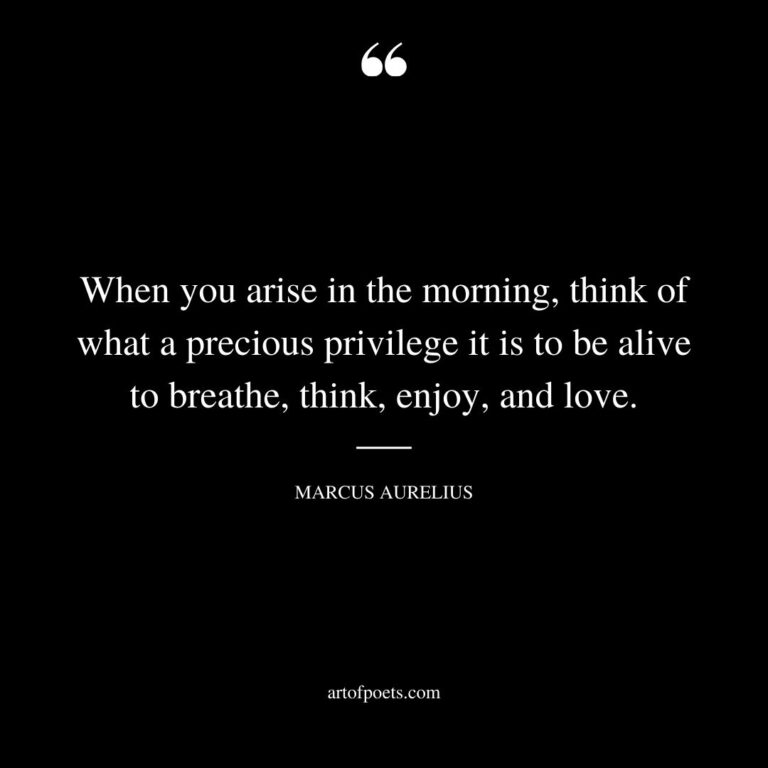 61 Best Marcus Aurelius Quotes on Life, Love, Death, Discipline ...