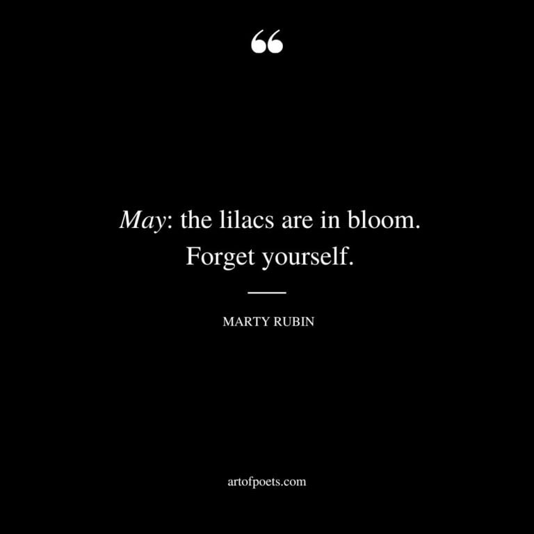 35 Inspirational & Funny May Quotes for 2025 (Hello May Quotes)