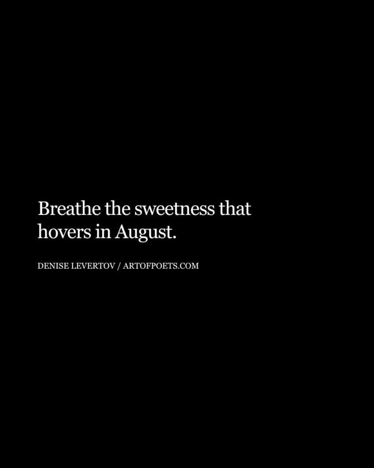 36 Happy & Hello August Quotes for 2025 (Positive August Quotes)