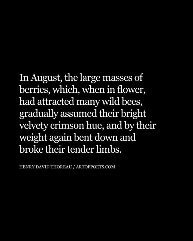 36 Happy & Hello August Quotes for 2025 (Positive August Quotes)