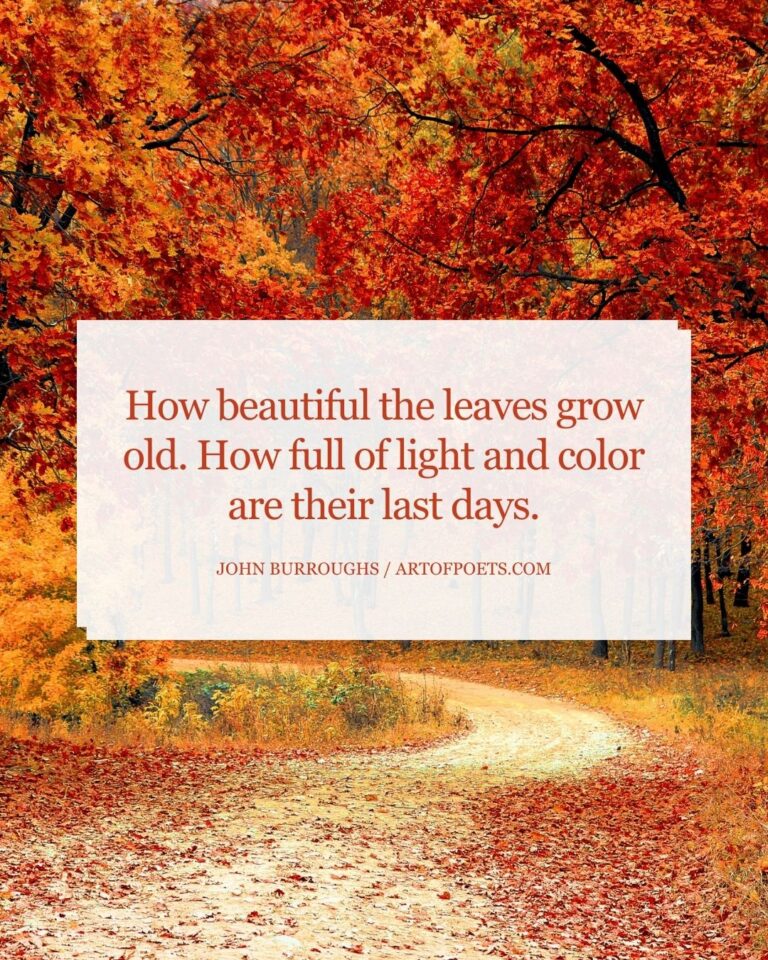 64 Happy & Inspirational Fall Quotes for Autumn 2025