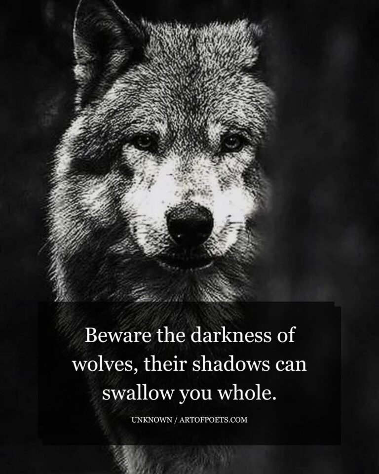 37 Inspirational Wolf Quotes (Warrior, Alpha, Loyalty, Love, Family ...