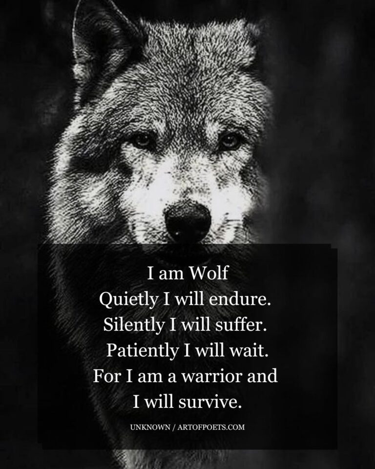 37 Inspirational Wolf Quotes (Warrior, Alpha, Loyalty, Love, Family ...