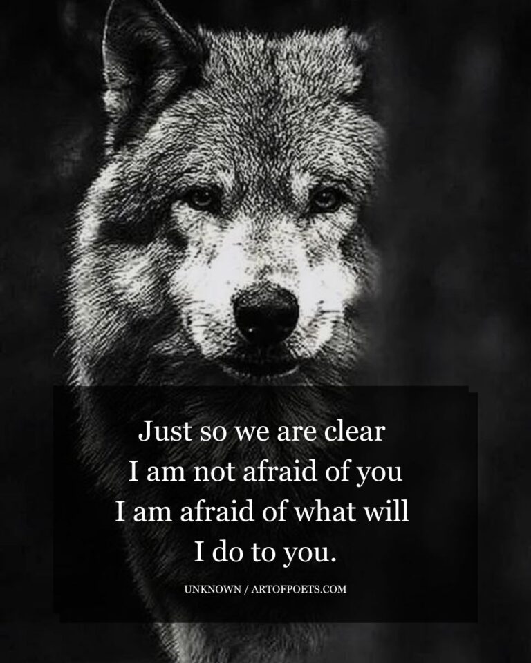 37 Inspirational Wolf Quotes (Warrior, Alpha, Loyalty, Love, Family ...