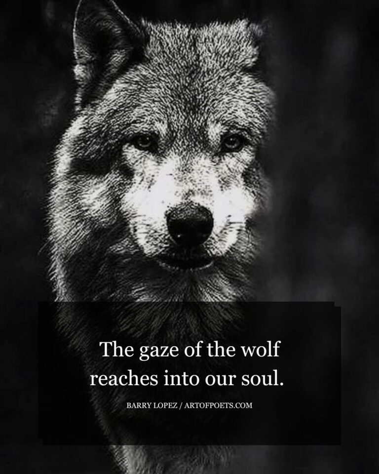 37 Inspirational Wolf Quotes (Warrior, Alpha, Loyalty, Love, Family ...