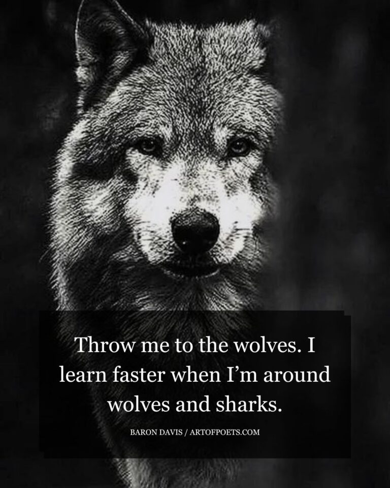 37 Inspirational Wolf Quotes (Warrior, Alpha, Loyalty, Love, Family ...