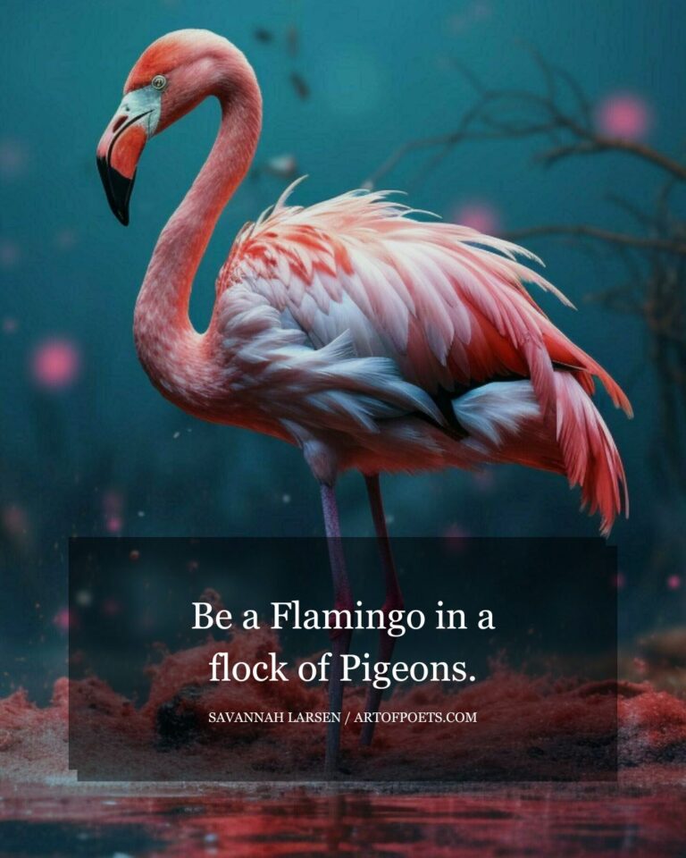 24 Positive, Cute & Funny Flamingo Quotes