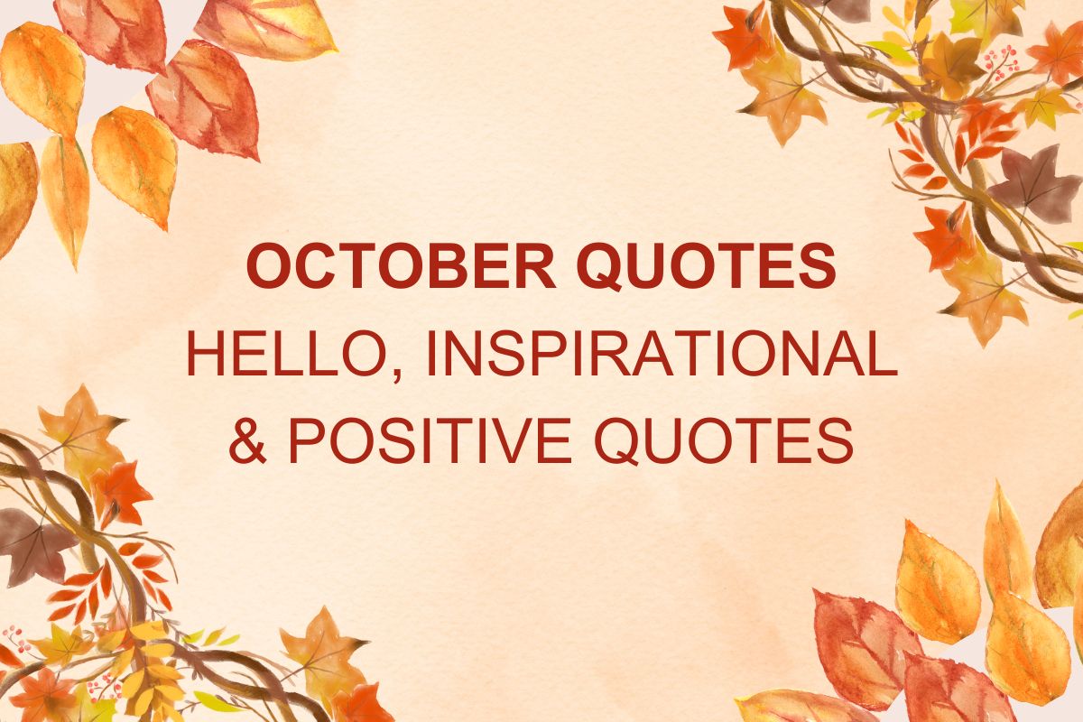 24 Positive Cute Funny Flamingo Quotes 24 Positive Cute Funny Flamingo Quotes