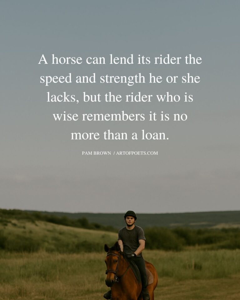 26 Best Horse Riding Quotes to Inspire Every Equestrian Heart