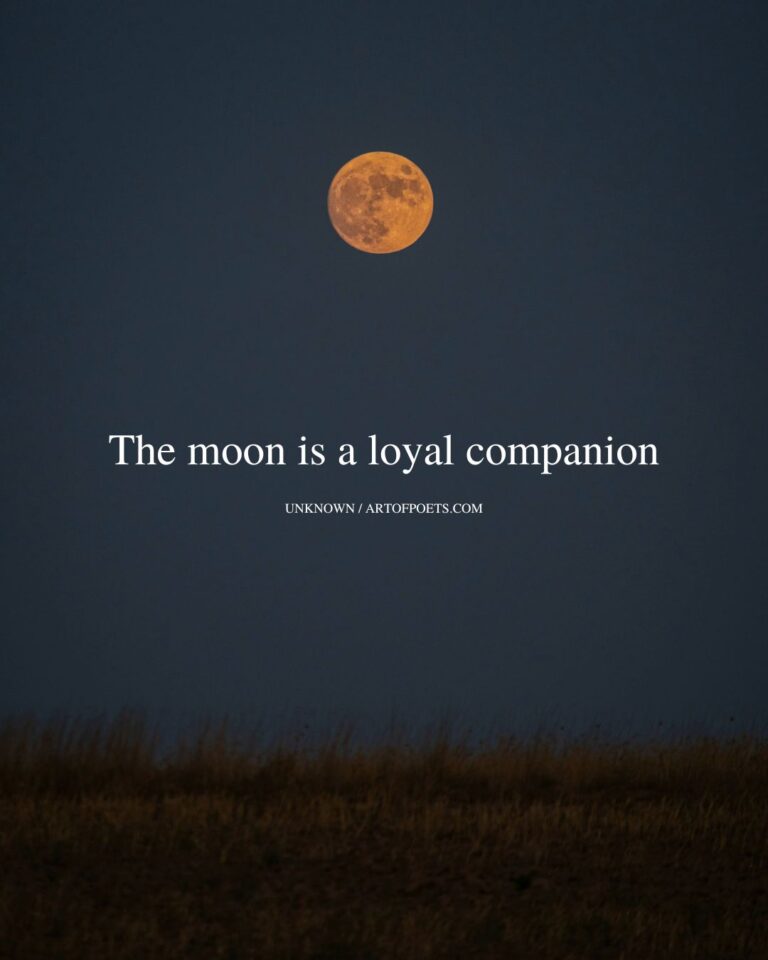 35 Best Moon Quotes for Moon Lovers (Short, Romantic, Aesthetic & Sad ...