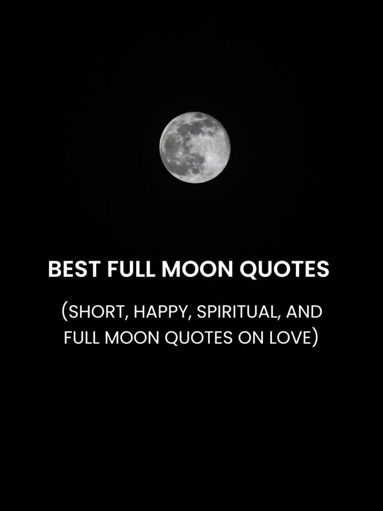35 Best Moon Quotes For Moon Lovers Short Romantic Aesthetic Sad