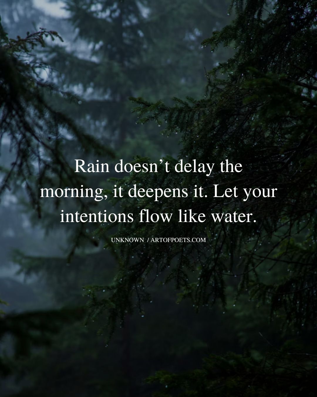 51 Best Rainy Day Quotes for Love, Work, Inspiration & Cozy Mornings