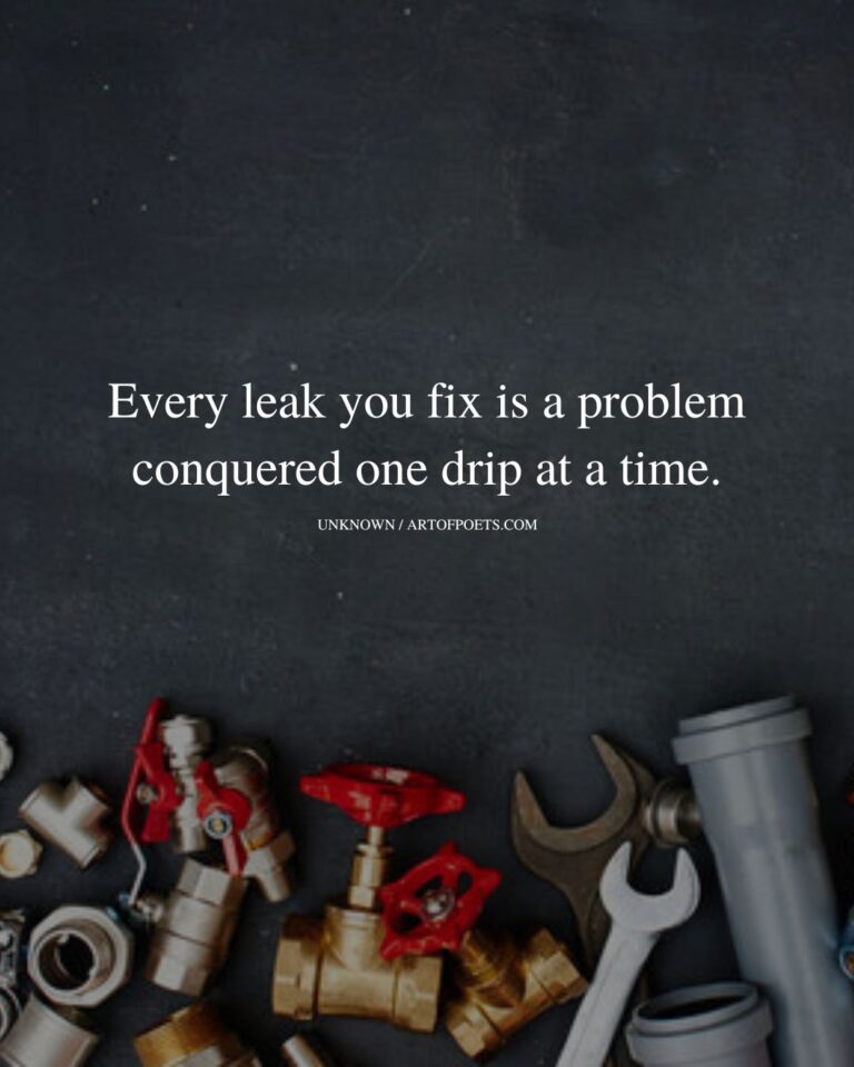 32 Plumbing Quotes: Short, Funny, Motivational & Professional Quotes to ...