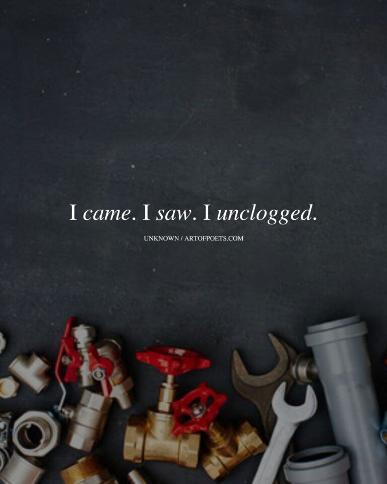 32 Plumbing Quotes: Short, Funny, Motivational & Professional Quotes to ...