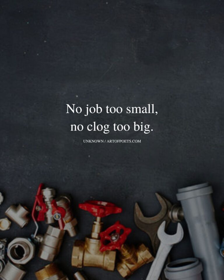 32 Plumbing Quotes: Short, Funny, Motivational & Professional Quotes to ...